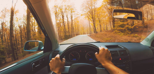 Autumn Driving Hazards to Avoid